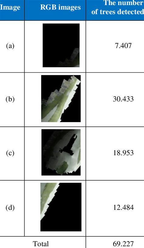 Results Of Tree Calculations On Orthophoto Maps Of Mangrove Forests Download Scientific Diagram