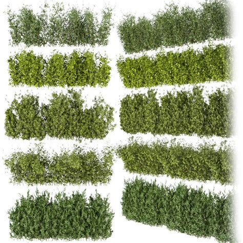 Artstation Collection Plant Vol 309 Bush Outdoor Leaf Blender