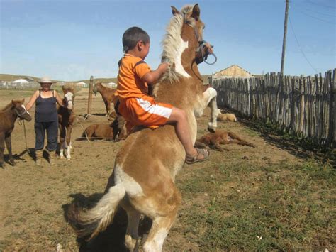 Баруун аймгийн үзэсгэлэнт газрууд Жинхэнэ МОНГОЛ эр хүн гэж энэ дээ Facebook