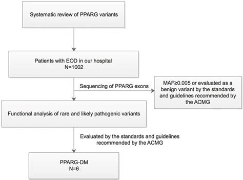Genetics And Clinical Characteristics Of Pparγ Variant Induced Diabetes