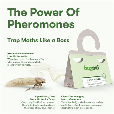 Buy Bugmd Clothes Moth Boss Traps Sticky Glue Bug Repellent Pheromone
