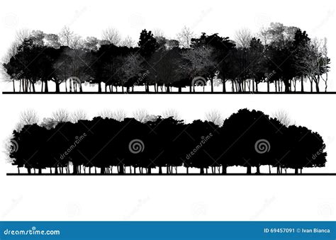 Forest Stock Illustration Illustration Of Drawing Architectural