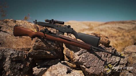 Springfield M1a Socom Cqb Storage In Rifle Stock Stashokplay