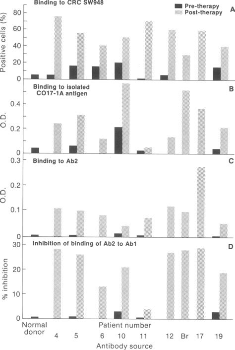 Antigen Binding Reactivities And Idiotope Analysis Of Human Ab3 A
