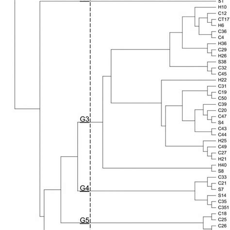 dendrogram analysis of dna fingerprinting obtained from 49 e coli