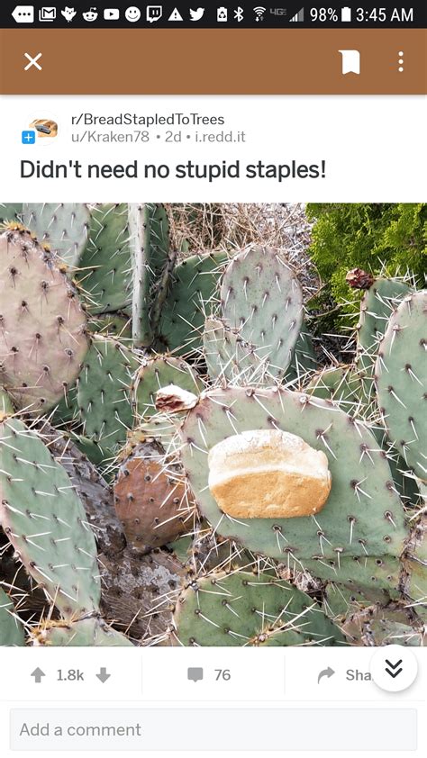 This Mad Lad Doesnt Need Staples R Madlads