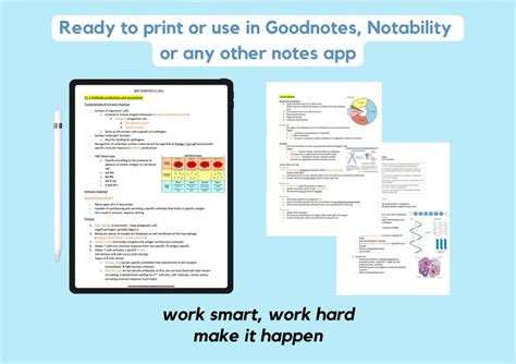 IB Biology SL HL Study Notes Etsy