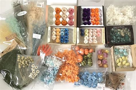 【未使用】【ハーバリウム花材】花材 まとめ売り 大量 プリザーブドフラワー ドライフラワー 大地農園 紫陽花 ダリア 薔薇 千日紅 かすみ草