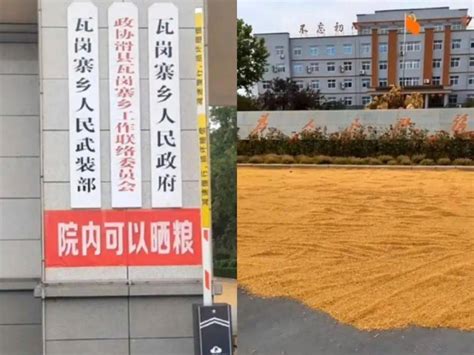 侠客岛：政府大院开门让农户晒粮，为人民服务就该这样小麦群众地方