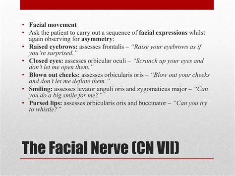Cranial Nerves Examination Cranial Nerve Examination Frequently Appears In Osces Ppt