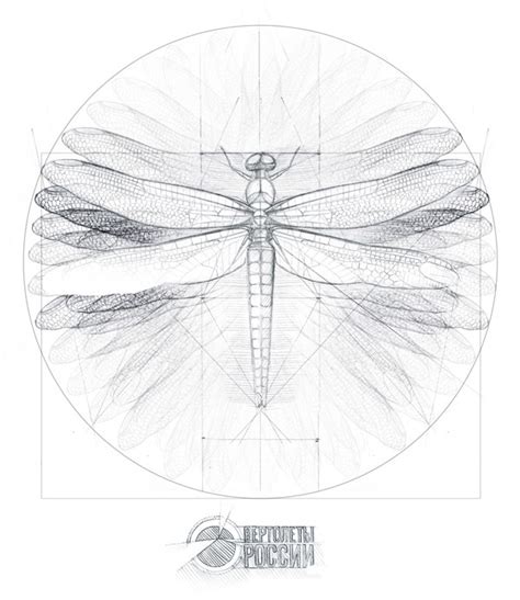 Dragonfly For Russian Helicopters On Behance
