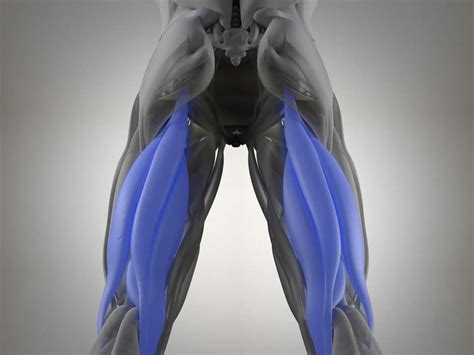The Best Hamstring Stretches Try This Video For A Full Hamstring Stretch