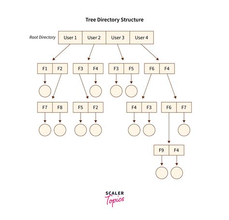 directory structure in os scaler topics