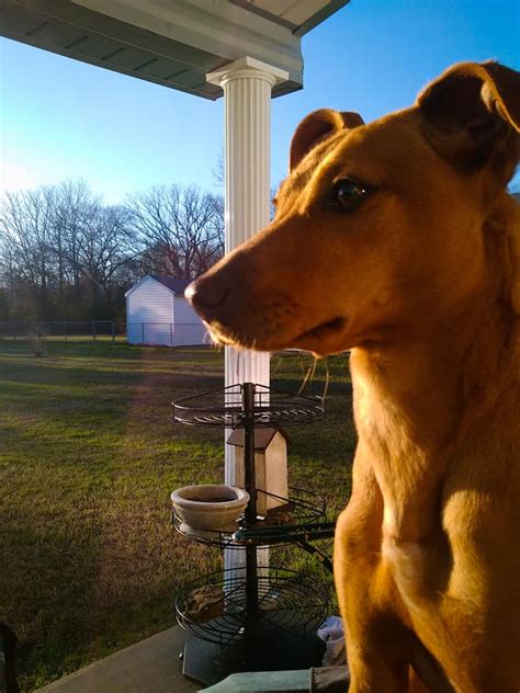 Erin Talbert Photography