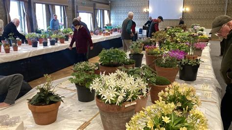 Srgc Ags Spring Show Hexham 2024