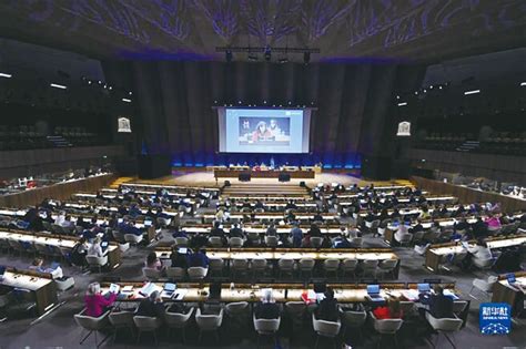 聯合國unesco教育一類機構 進軍上海 話題觀察 旺報