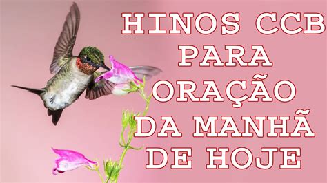 Hinos CCB 2023 Hinos Ccb Para Oração Da Manhã De Hoje Congregação