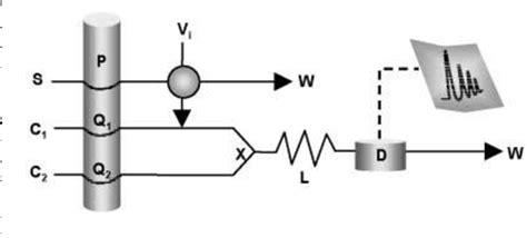 Figure 1 From Development Of An Fia System With Amperometric Detection For Determination Of