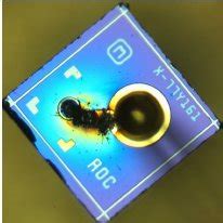 Stacking Faults Some Extending From The Download Scientific Diagram