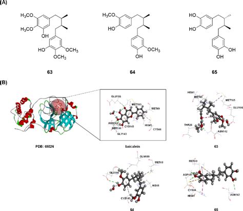 The Protease Compound Interaction Patterns A The Structures Of Download Scientific Diagram