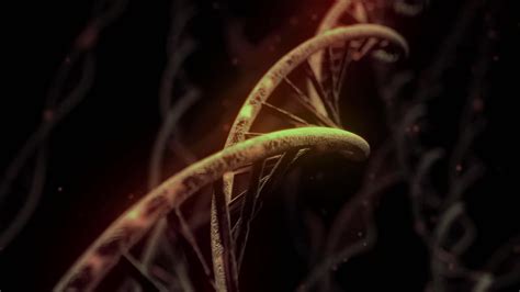 Premium Stock Video Dna Spinning Rna Double Helix Slow Science