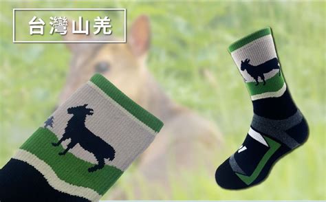 Woawoa 台灣特有種 極致速乾運動羊毛登山襪mlxl100防縮美麗諾羊毛襪 登山襪 保暖襪 除臭襪 襪子 厚襪 登山羊毛襪 厚襪