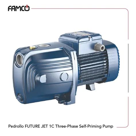Buy Pedrollo Future Jet 1c Three Phase Self Priming Pump With The Best