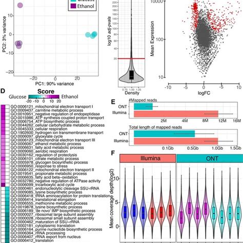 Summary Of DNA Sequencing Reads From ONT And PacBio A Histogram Plot