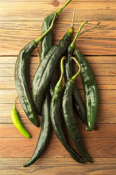 Chilaca Pork Stew How To Cook Chilaca Chiles Hank Shaw