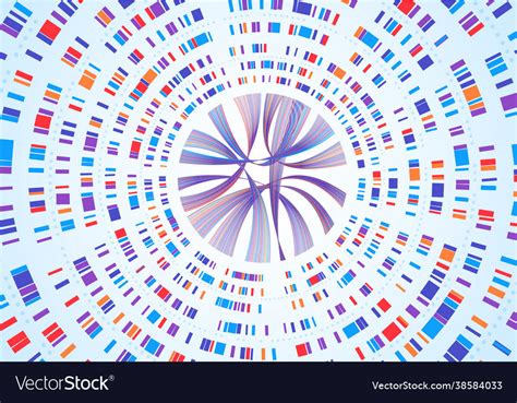 Genome Infographic Dna Sequence Visualization Vector Image
