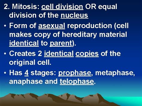 CELL CYCLE NOTES I Growth And Development Complex
