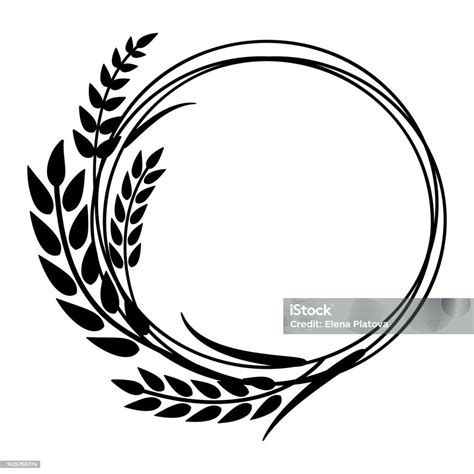 밀 보리 또는 호밀의 귀가있는 프레임 흰색 배경에 고립 된 벡터 둥근 화환 밀에 대한 스톡 벡터 아트 및 기타 이미지 밀