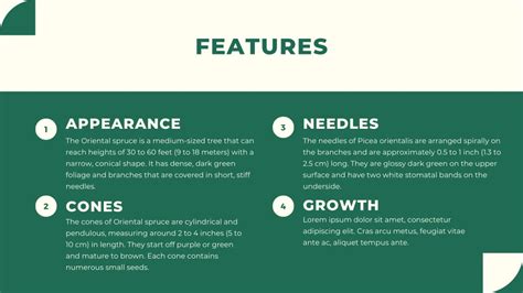 Ppt Picea Orientalis Caucasian Spruce For Urban Gardens Powerpoint