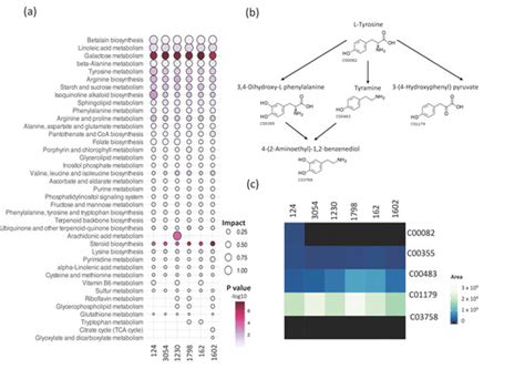 Bioactive Compounds With Pesticide Activities Derived From Aged Cultures Of Green Microalgae