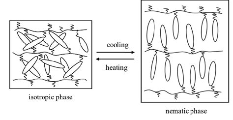 Change Of Geometry During Phase Transformation According To Download Scientific Diagram