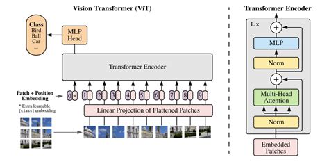 Introductory Guide To Vision Transformers Encord