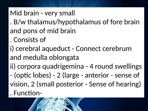 Brain Structure And Its Function Class 10 Pptx Brain And Nervous Brain Structure And Its Function Class 10 Pptx Brain And Nervous