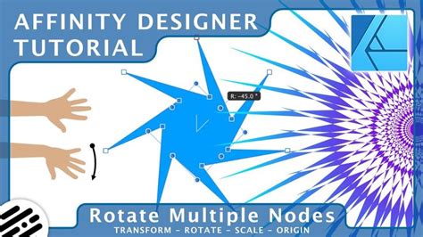 Affinity Designer Tutorial Rotate Multiple Nodes Transform Scale