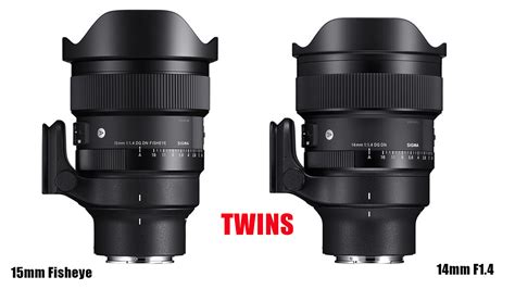 Twins