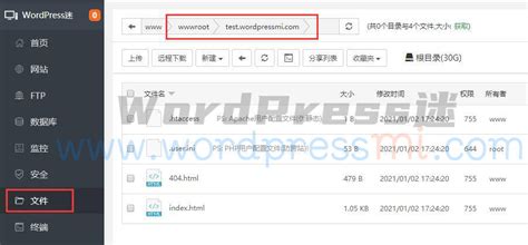 wordpress网站域名解析与程序安装 wordpress域名解析 csdn博客