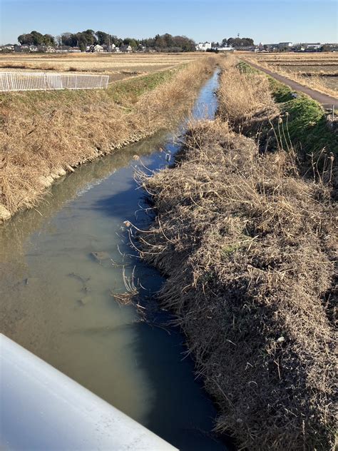 能登半島地震の災害義援金の募金活動を行いました 伊奈町議会議員 藤原よしはるオフィシャルブログ Powered by Ameba