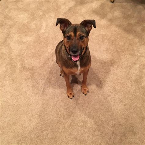 Trending Stories Published On I Mostly Swift At Night Mostly Medium