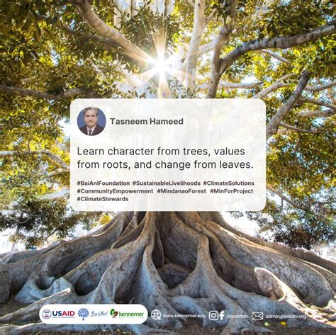 Baiani Foundation On Linkedin Baianifoundation