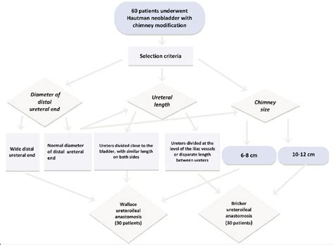 Patient Flowchart Describes Selection Criteria For Surgical Approach