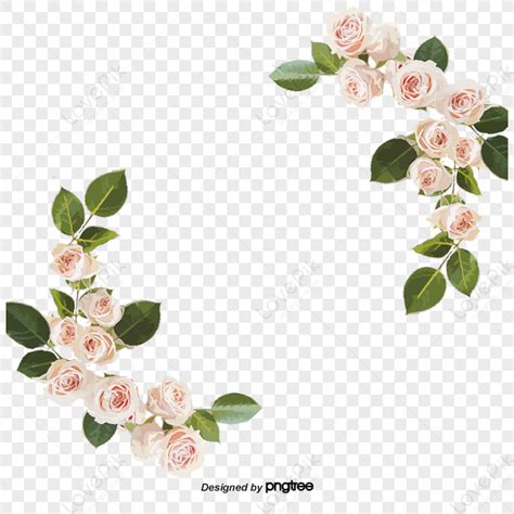 Vector Floral Decorative Borders Clip Curl Floral Decoration Png