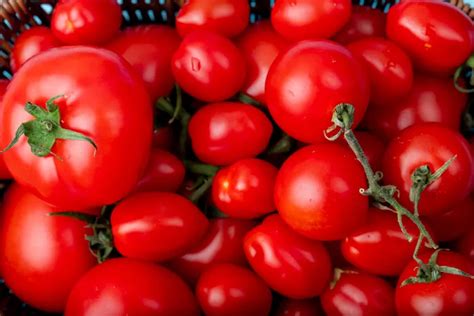 Tips Menyimpan Tomat Tahan Lama Terhindar Dari Kulit Kisut Dan Mudah Busuk Cukup Tempelkan
