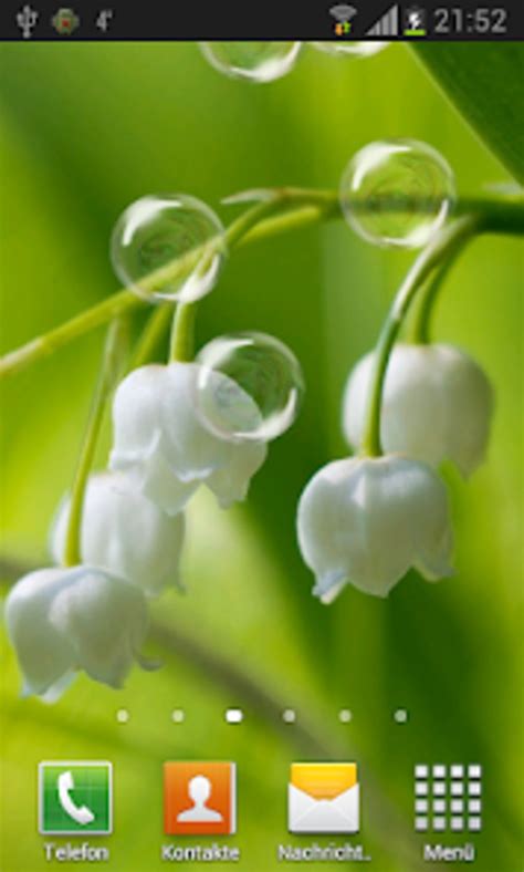 May lily Live Wallpaper für Android Download