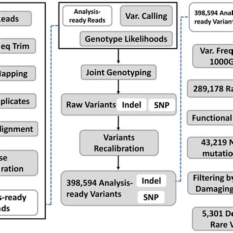 Analysis Of Whole Exome Sequencing Data We Identified 398 594 Snvs Download Scientific
