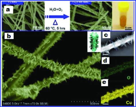 A Formation Of Hierarchical Branched Cu 2 O Nw Nanostructures The Download Scientific