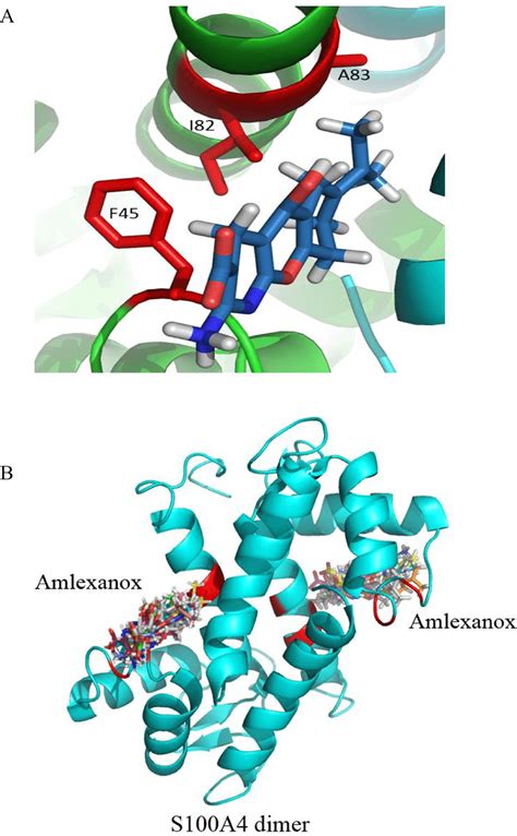 Amlexanox 5 Em Forma De Película Retoedu